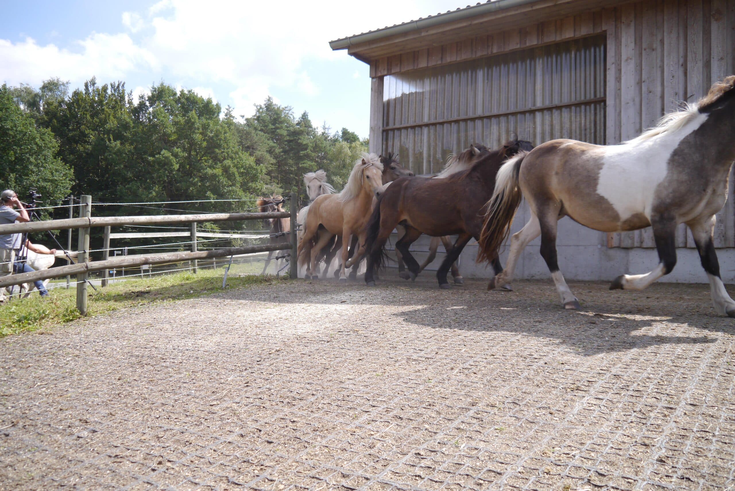 Plastic Mud Grids For Horses | J&E Grill Manufacturing
